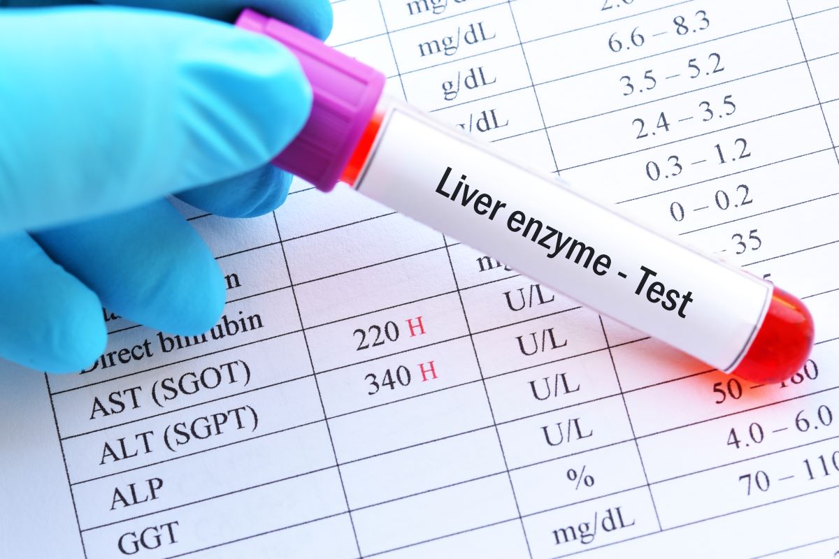 Why are CYP enzymes a key focus for liver disease research?