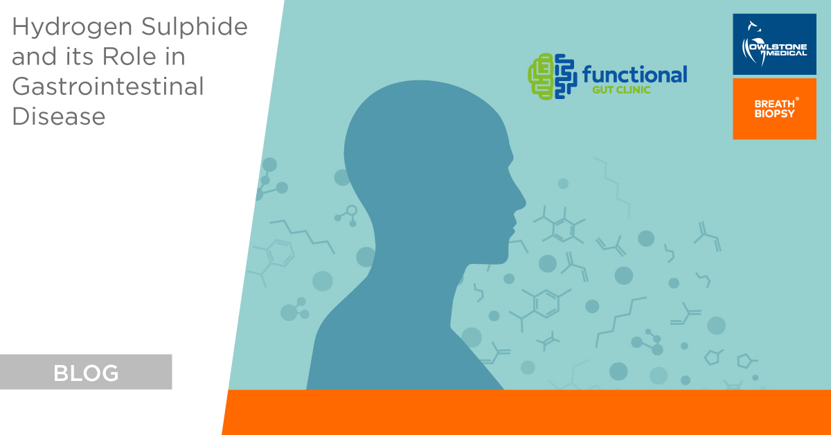 Hydrogen Sulphide and its Role in Gastrointestinal Disease