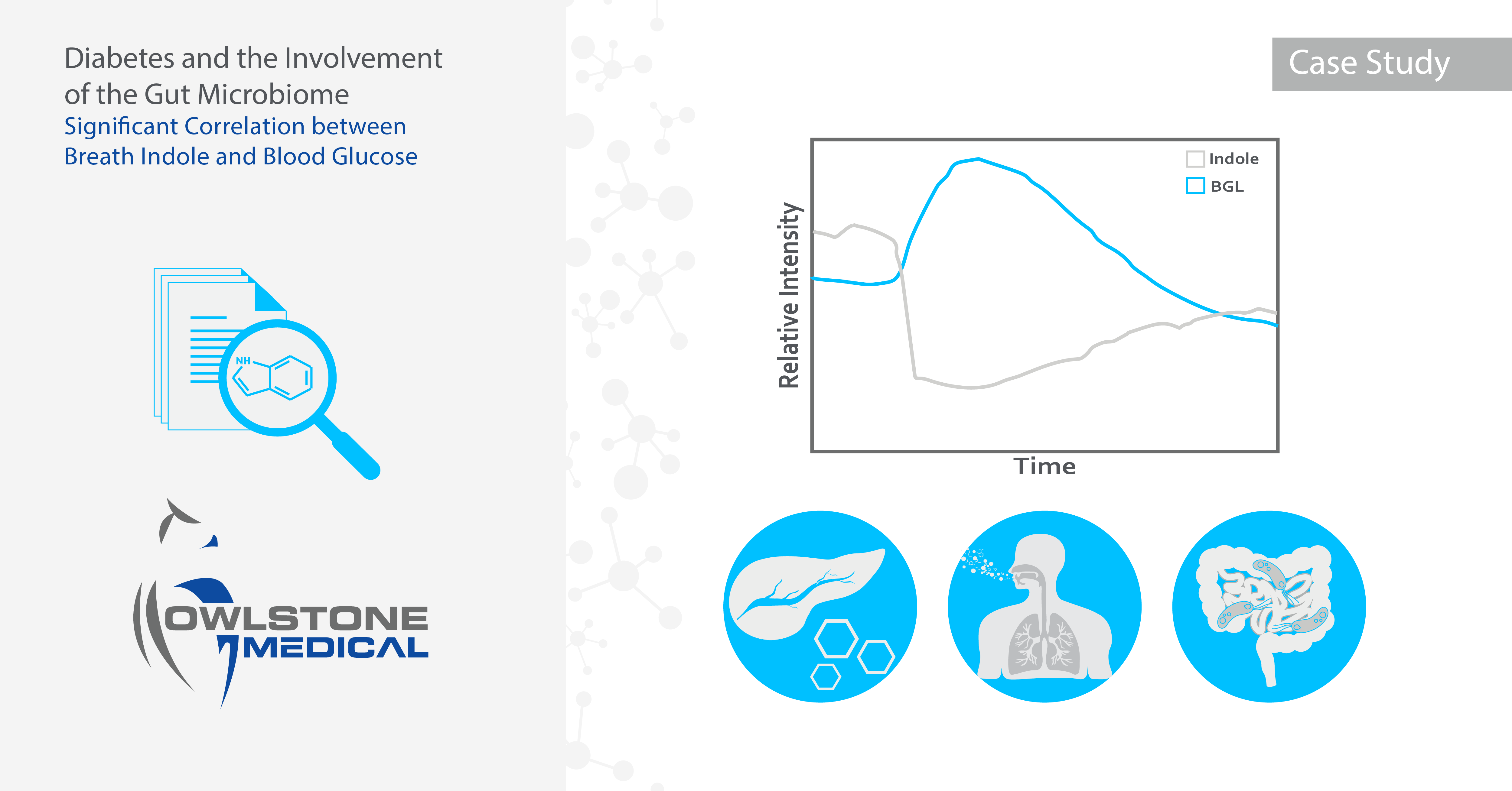 Diabetes and the association of the gut microbiome