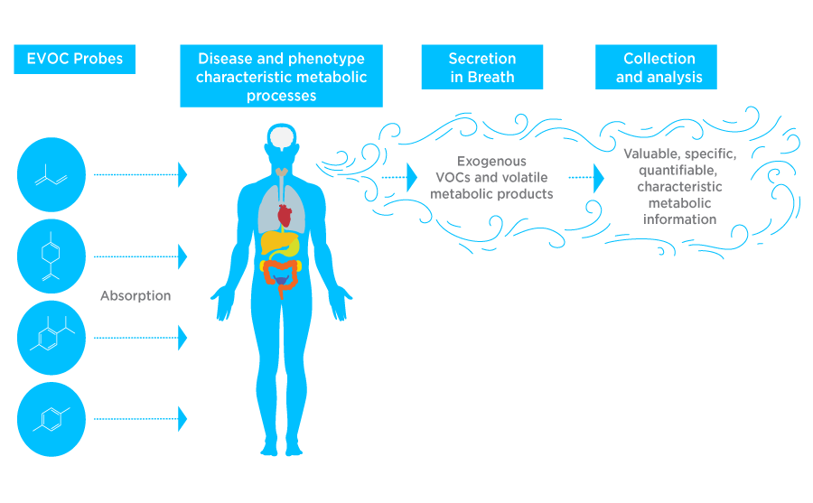 EVOC Probes - breath biomarkers with metabolic insights