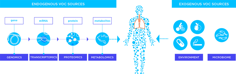 EVOC Probes - breath biomarkers with metabolic insights