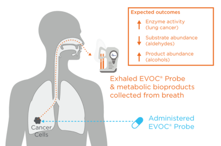 Using exogenous volatile organic compound (EVOC) probes to target tumour-associated aldo-keto ...