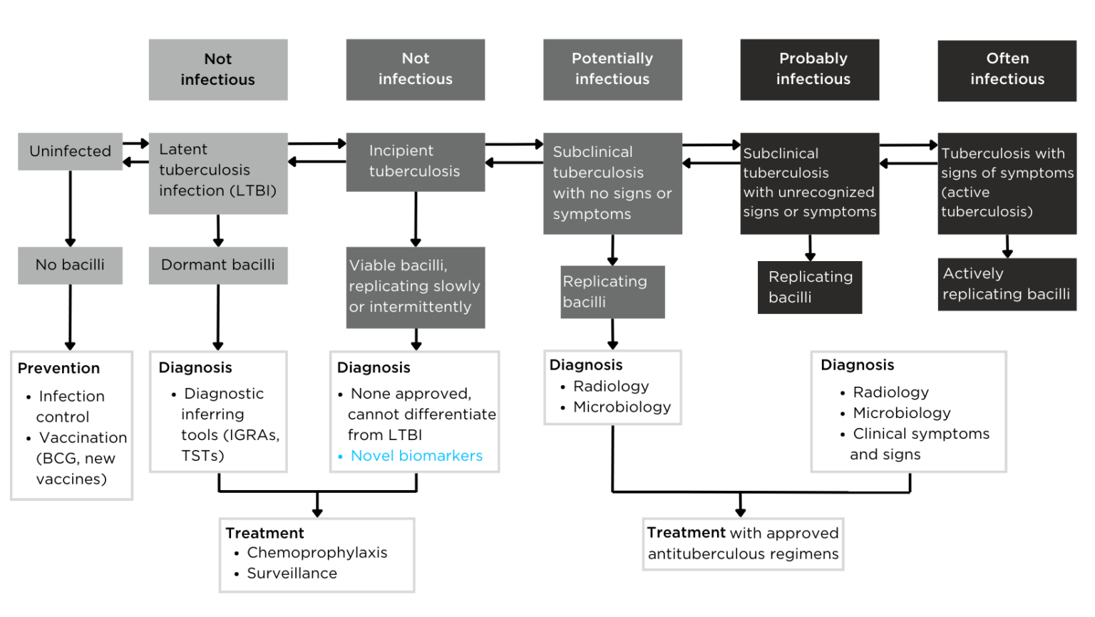 Explore Tuberculosis Through the Power of Breath Analysis.