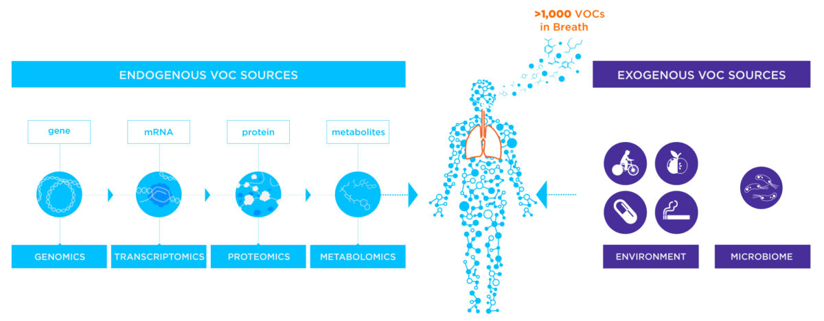 Breath to Bodily Fluids: the Role of VOCs in Health and Disease