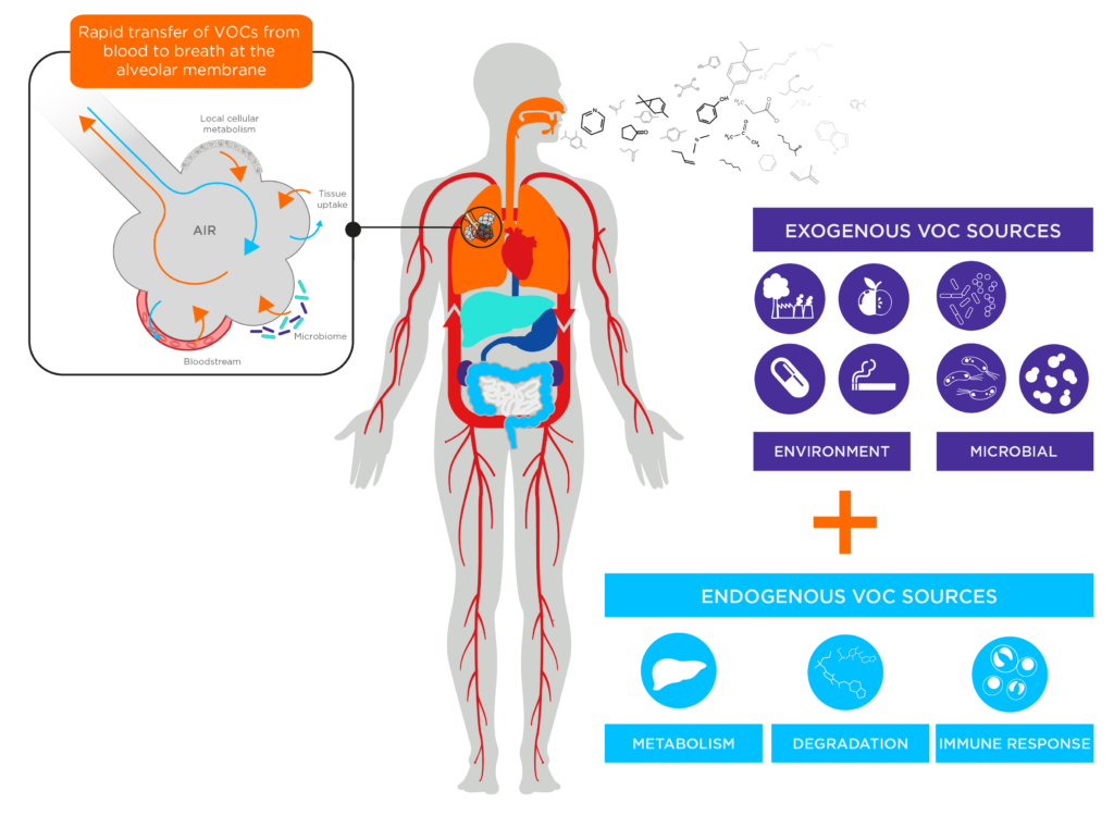 EVOC Probes - breath biomarkers with metabolic insights