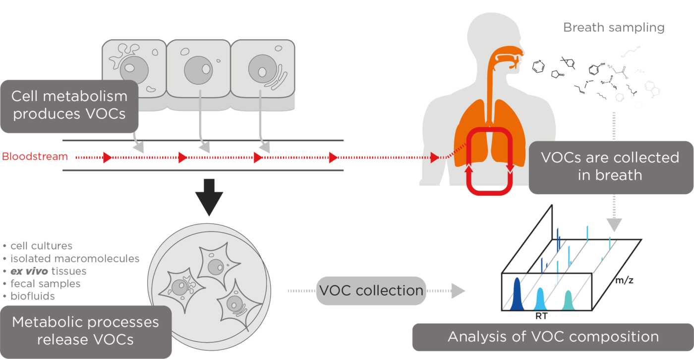 Insights from the Authors : Breath VOCs as a Biomarker Platform