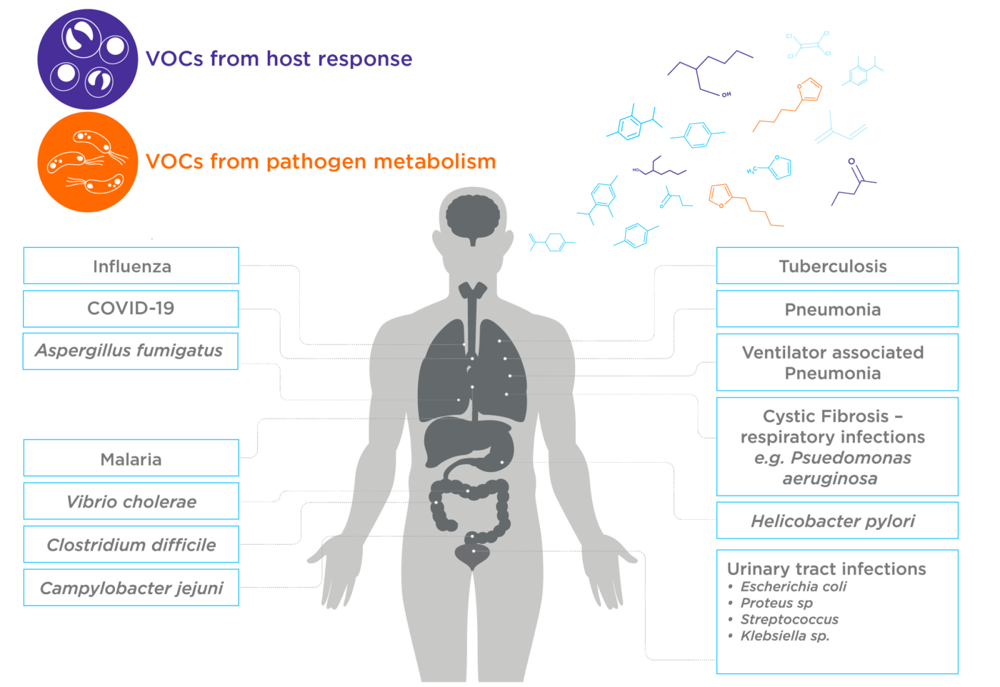 Volatile Biomarkers Exclusive to Human Microbial Pathogens