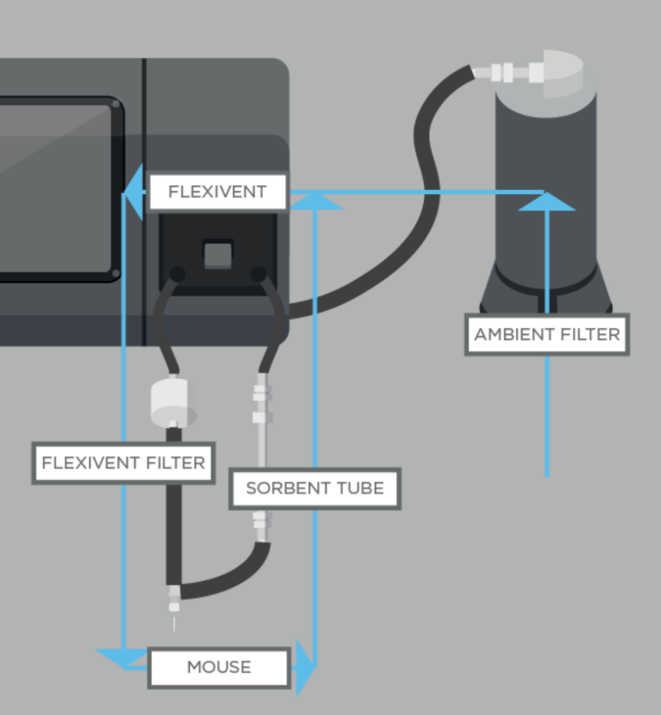 Breath Collection Using Animal Models