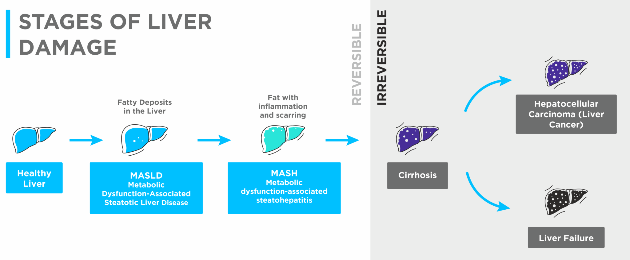 How Hydrogen-Methane Breath Tests Can Help Us Characterize Gut ...